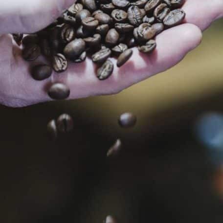 Wander Coffee – Impeccable Beans, Roasted to Perfection